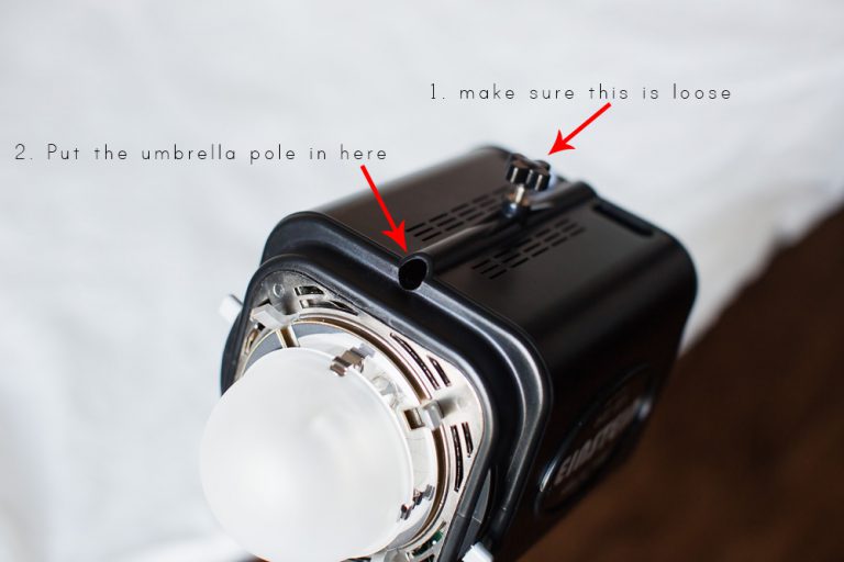 Setting up your Paul C Buff Einstein and PLM! – Kelli Nicole ...