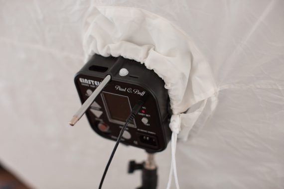 Setting up your Paul C Buff Einstein and PLM! – Kelli Nicole ...