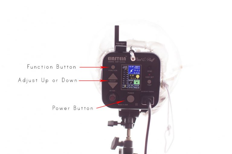 Setting up your Paul C Buff Einstein and PLM! – Kelli Nicole ...